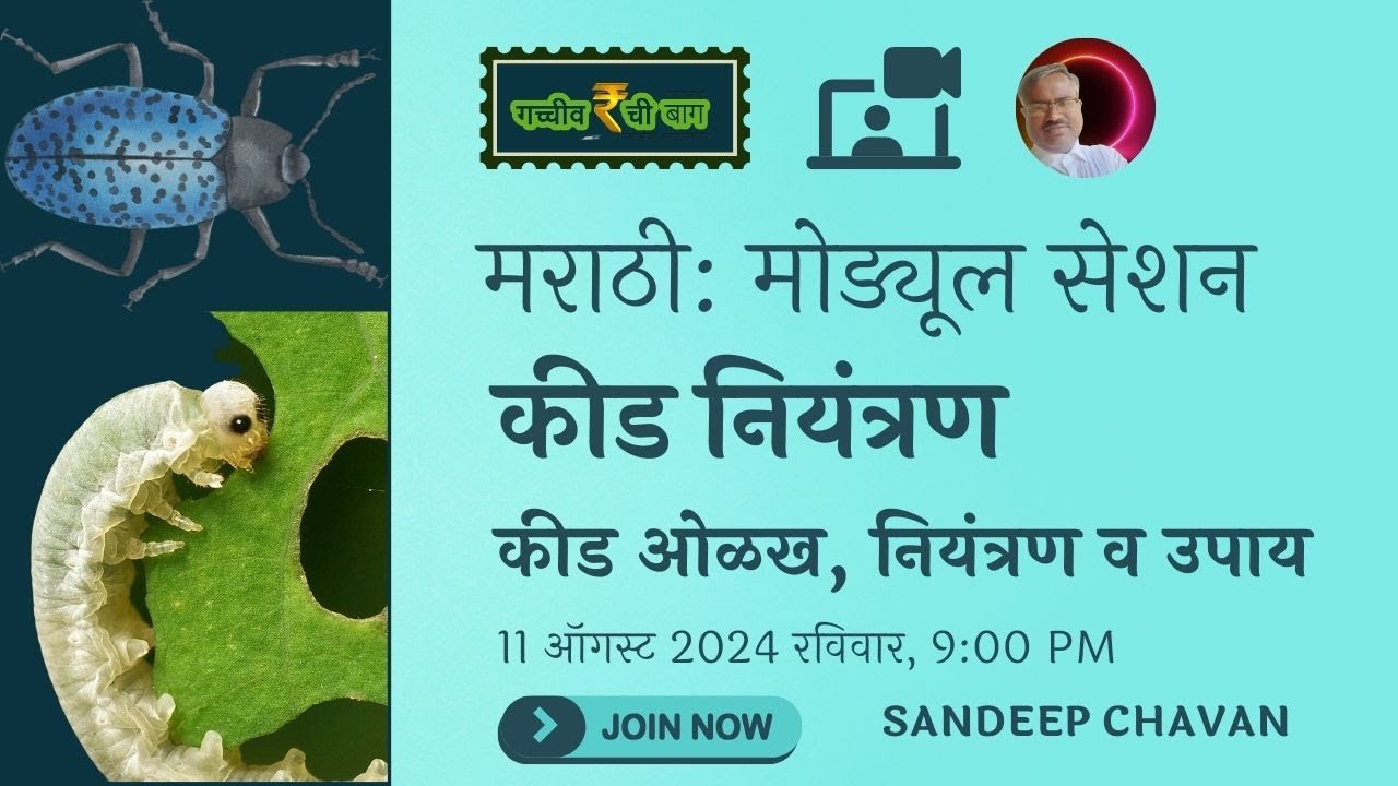 11 August 2024 Marathi Module Insects - YouTube
