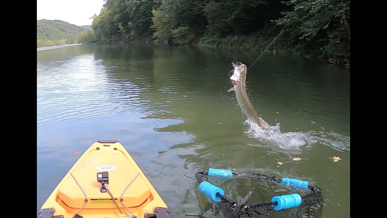 BIG 47 inch Muskie crushes my jig from the kayak, TWICE! - YouTube