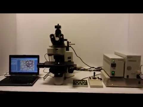 Olympus BX61 Microscope Motorized Phase Contrast Pred. to BX63 - 12074 ...