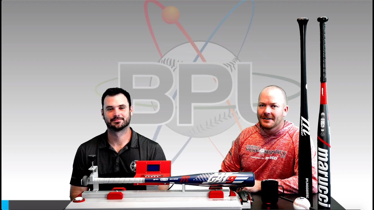 Top 5 Questions about the Bat - YouTube