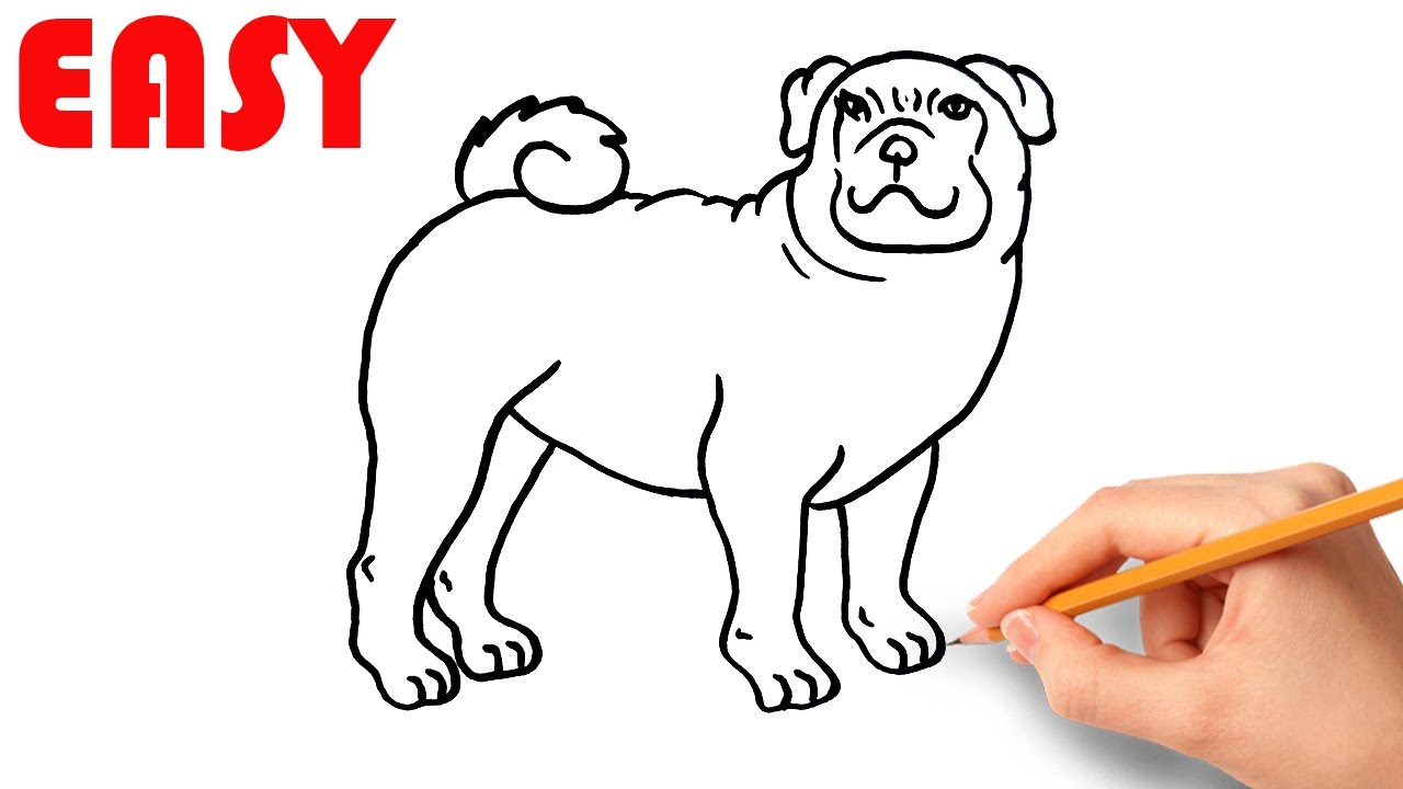 How To Draw A Dog, Bulk Dog, Big Dog Easy Step By Step - YouTube