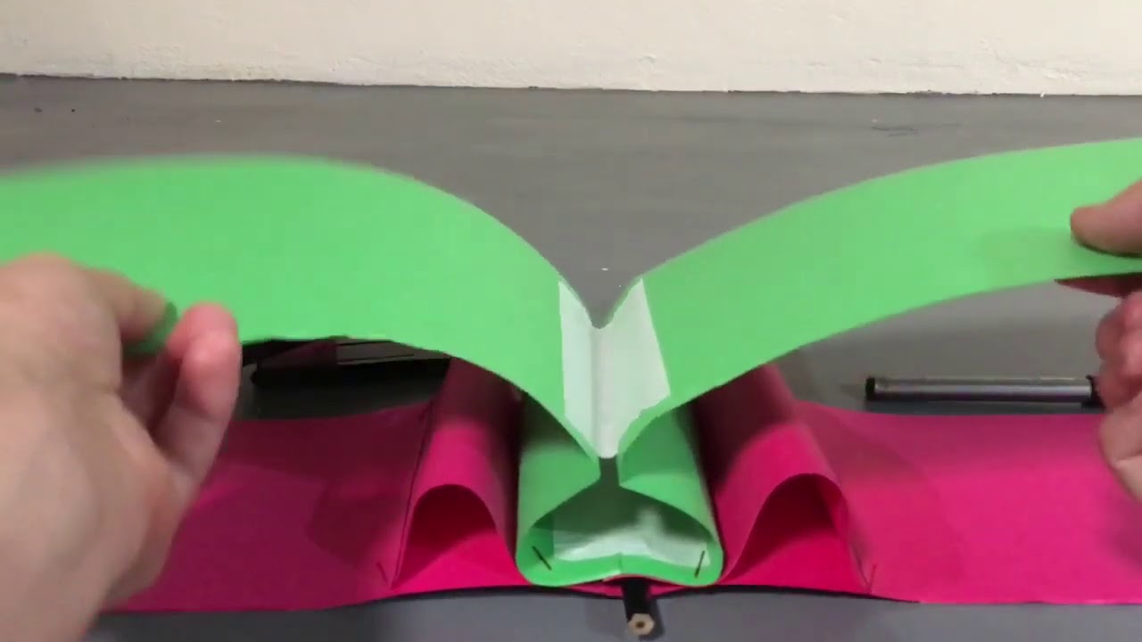 Origami de Embrião | Embriologia - YouTube