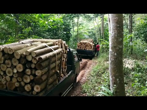 JALAN LICIN TETAP MUAT L300 GUNUNG