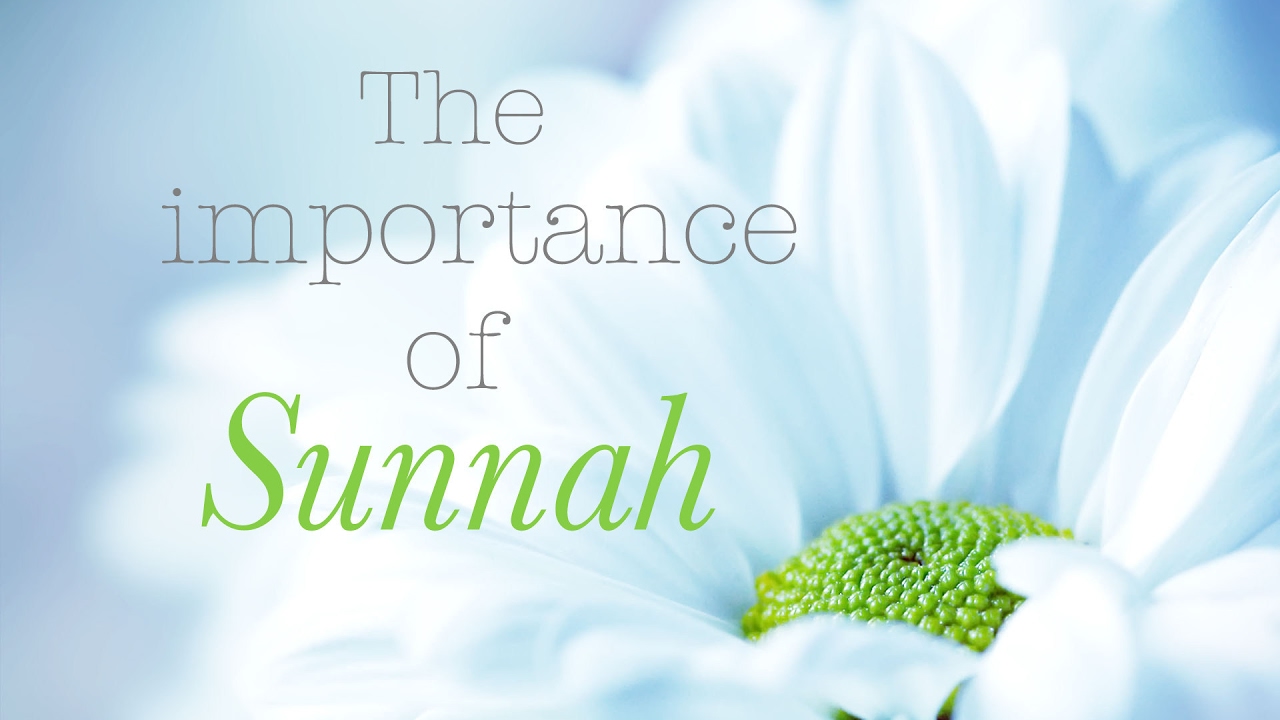 The Importance of Sunnah | Mohammad Hoblos - YouTube