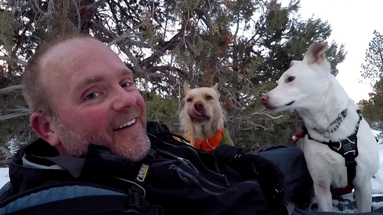 Dog Snowshoe Sled Joring! A Review of the Ruffwear Omnijore and ...
