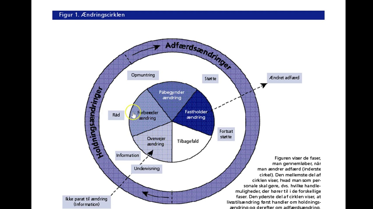 Forandringsprocessen - YouTube