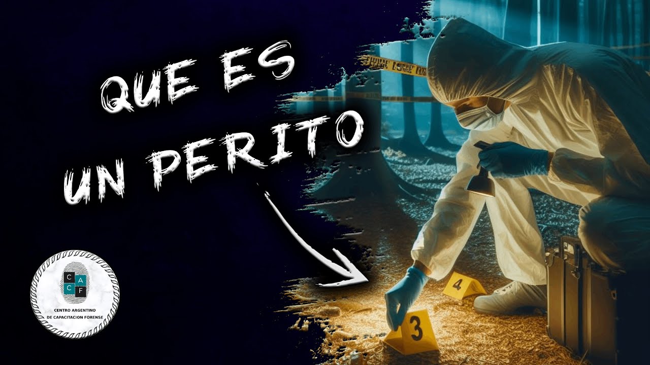 ¿Qué es un Perito? - Criminalística Para Principiantes - YouTube