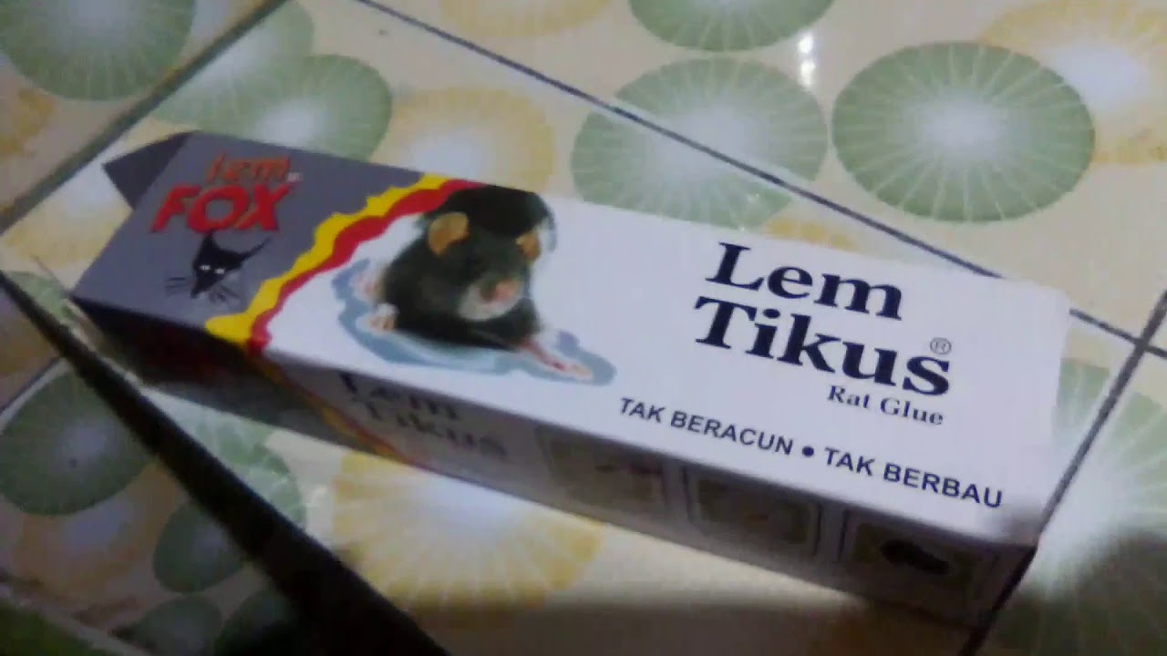 Lem Fox, Lem tikus - YouTube