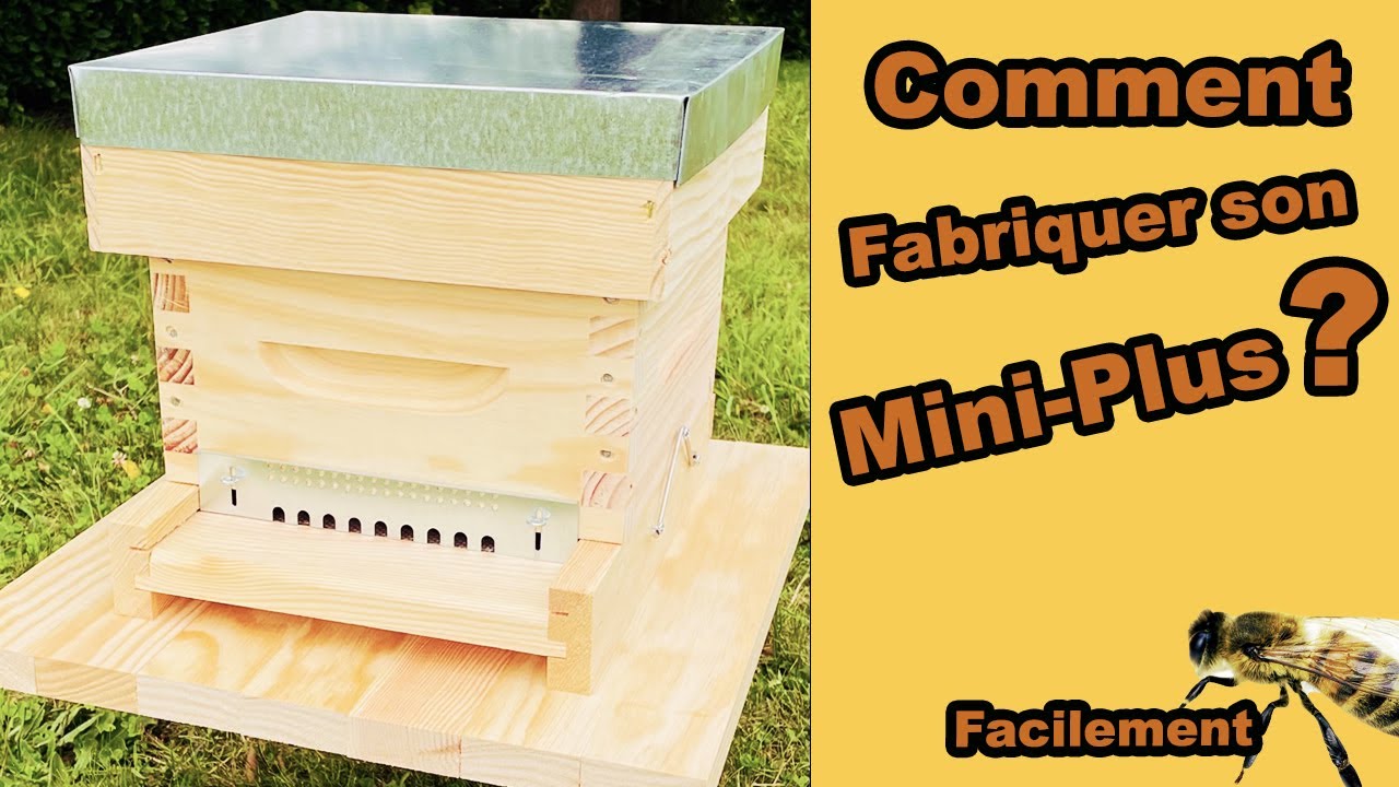 Fabriquer son Miniplus facilement pour faire des Reines Abeilles Le corp du nucleus ? - YouTube