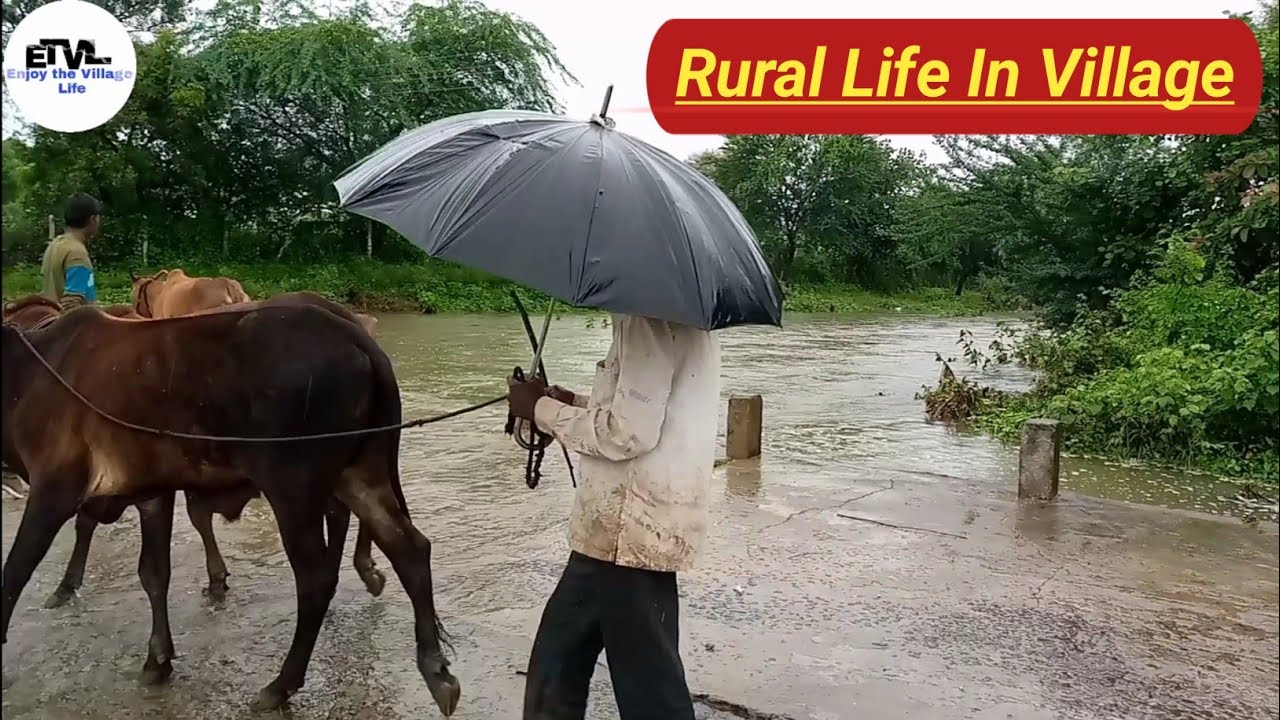 Rural Life In Maharashtra Village || Maharashtra Indian village Culture ...