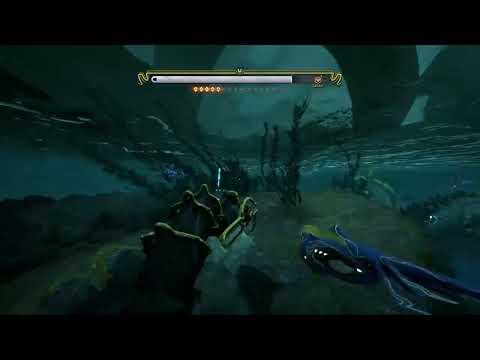 Duviri Fishing