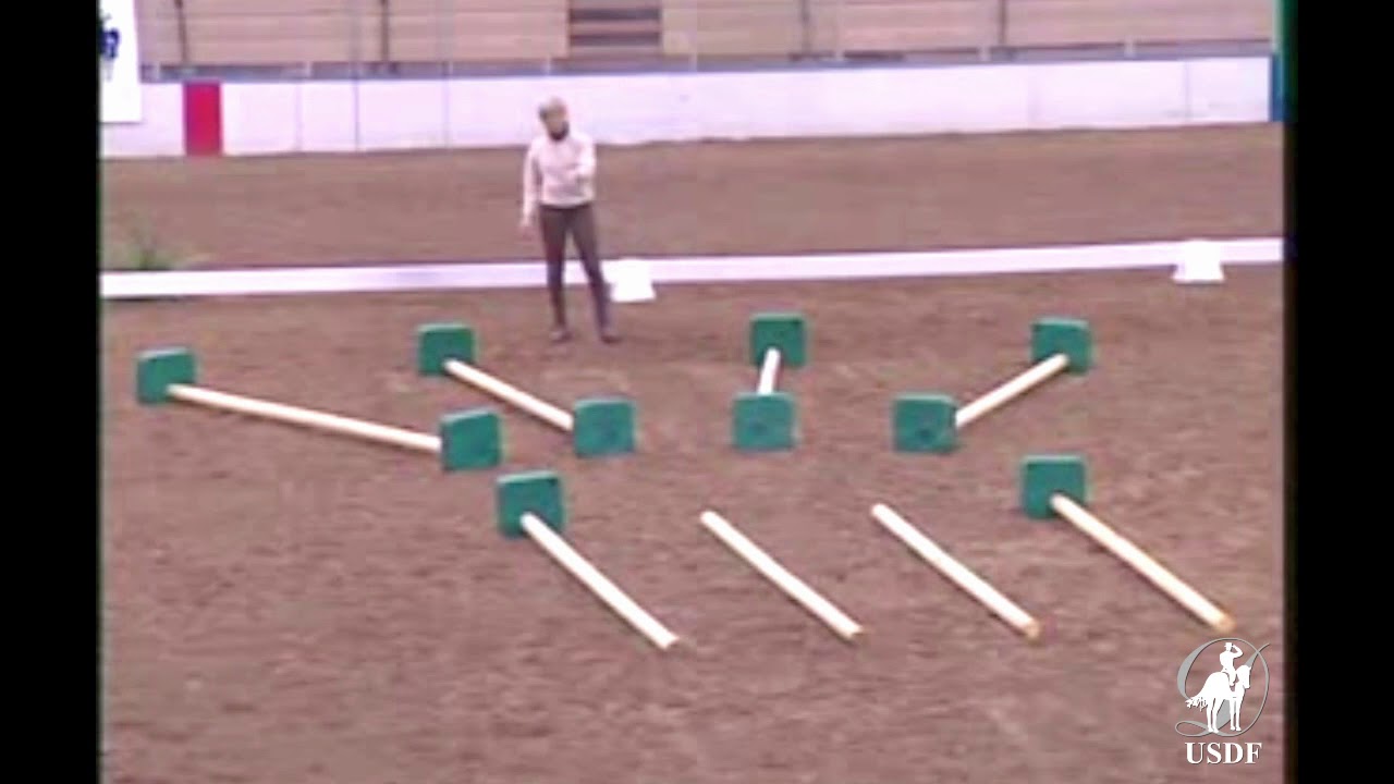 Basic Techniques for Cavalletti, Part 3 - YouTube