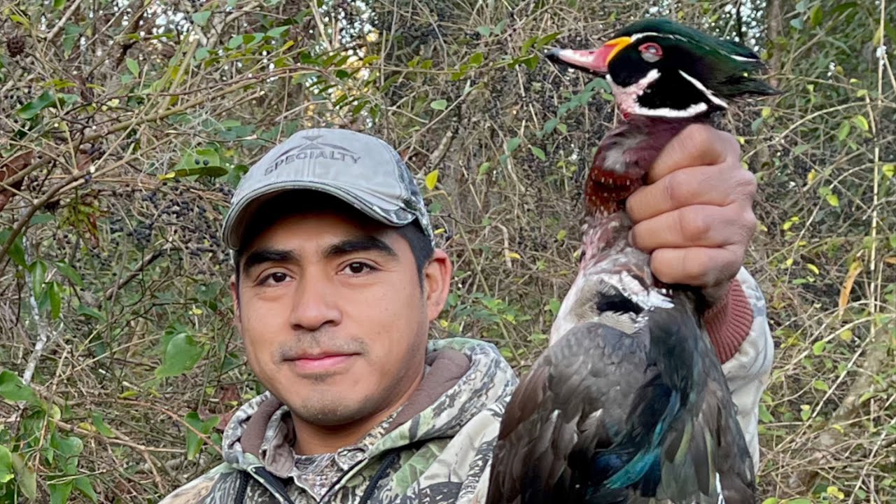 Cacería de Patos - YouTube