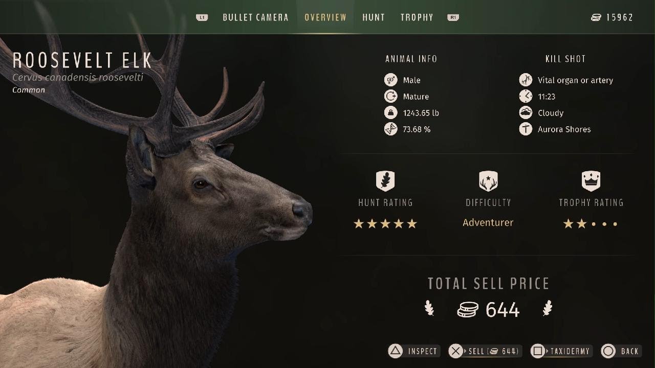 Alaska elk hunt with 300 win mag bullets - YouTube