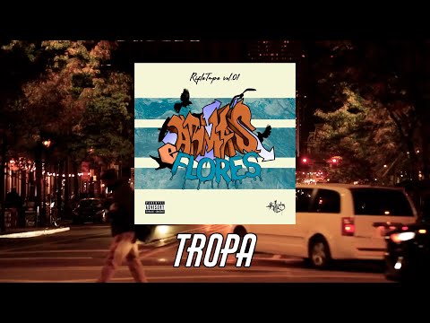 Rifle - Tropa (Peagazin, Scub e DL Brant)