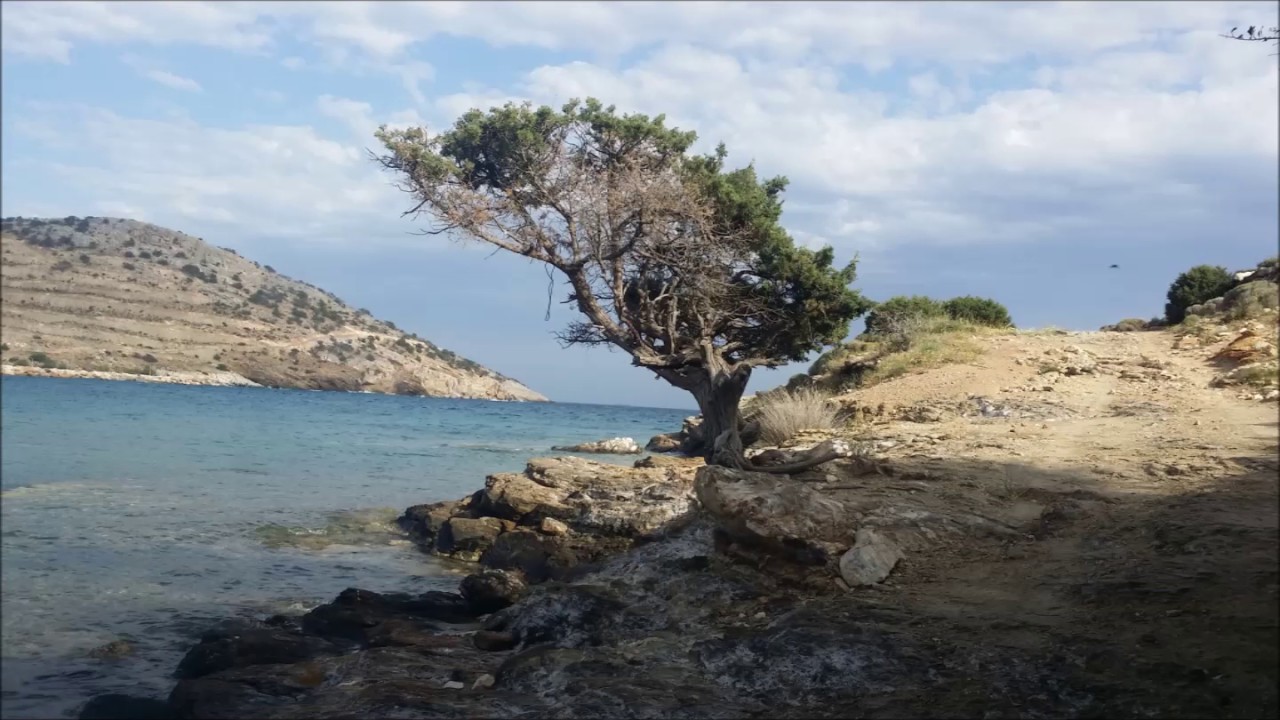Τα Μοναχικα Δεντρα.....και Η Μοναχικοτητα Μας - YouTube