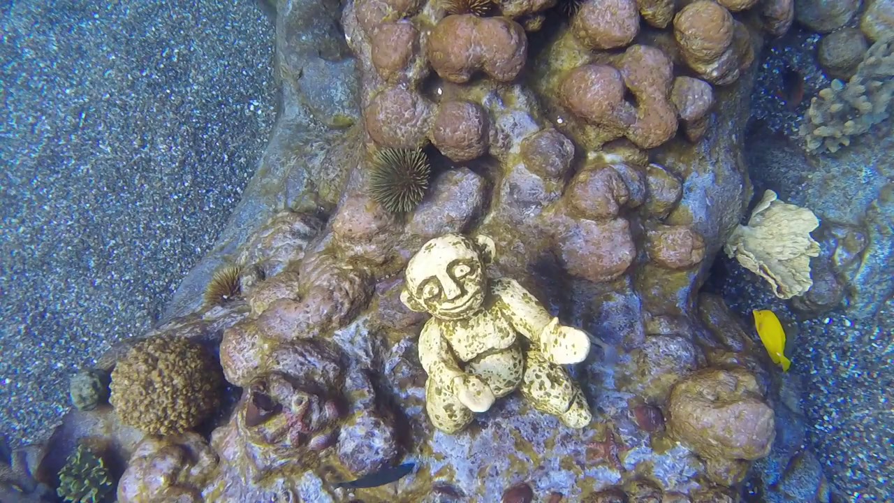 Disney Aulani - Underwater Menehune - Rainbow Reef Snorkeling - YouTube