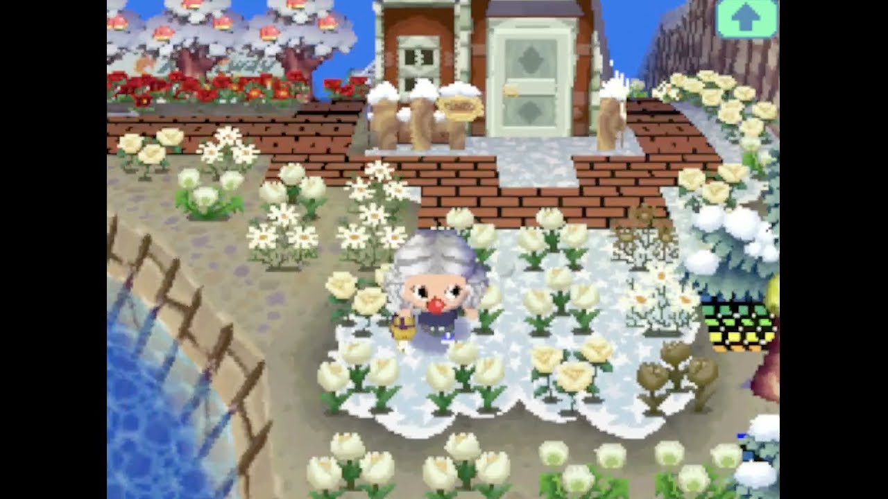 [ROM] Animal Crossing: Wild World (Bonus Day #143) "Sun & Snow" - YouTube