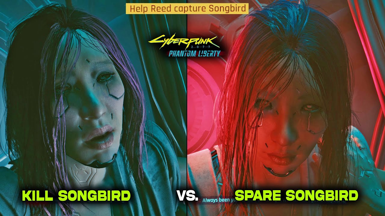 Best Ending? Kill Songbird or Spare Songbird | King of Cups Ending Vs ...