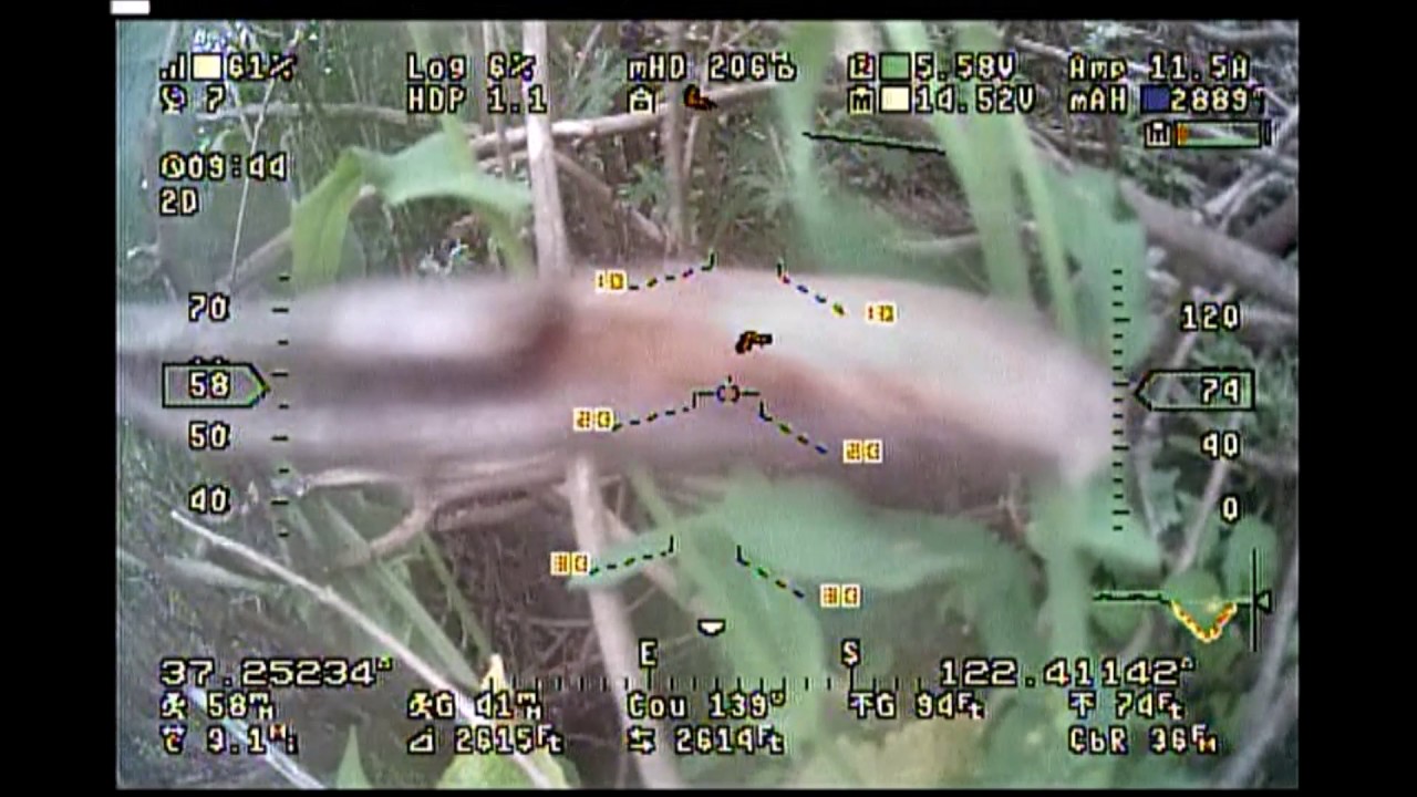 Mini Drak Dodges a Bullet - and Dragon Link Advanced Saves the Day ...