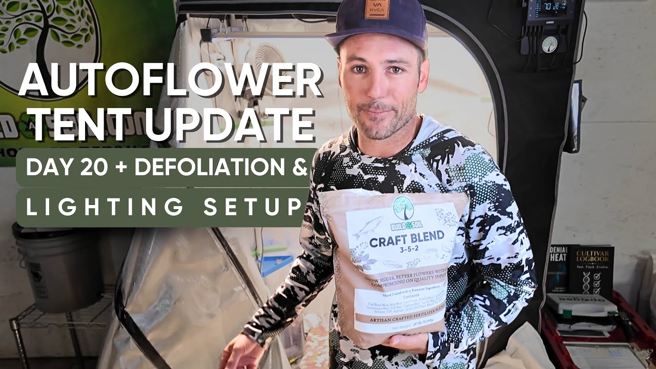 BuildASoil: Autoflower Tent // EarthBox Grow // Defoliation, Super ...