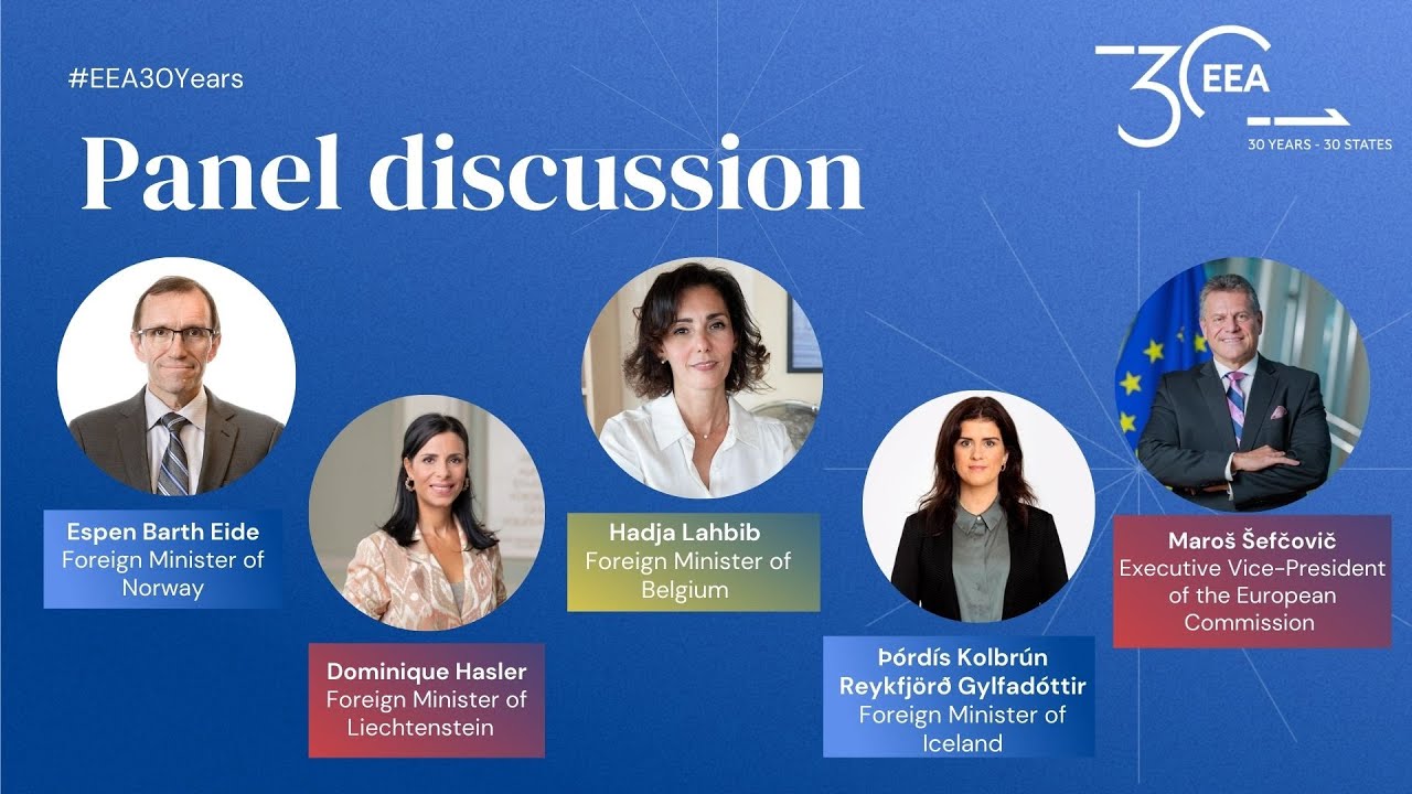 Panel Discussion 2 - EEA 30-Year Anniversary Conference 28 May 2024 ...