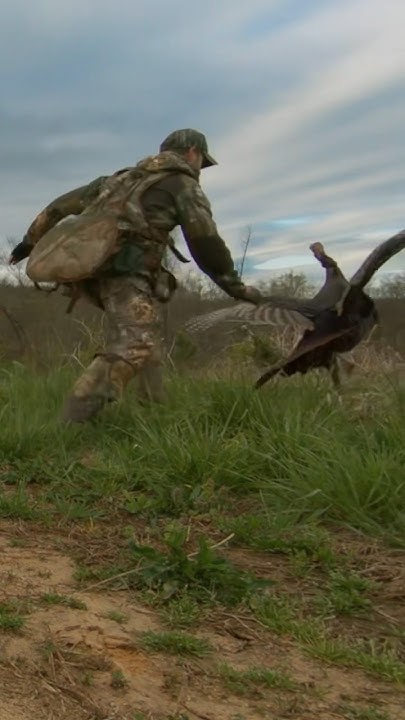 Zombie turkey comes back to life!! #hunting - YouTube