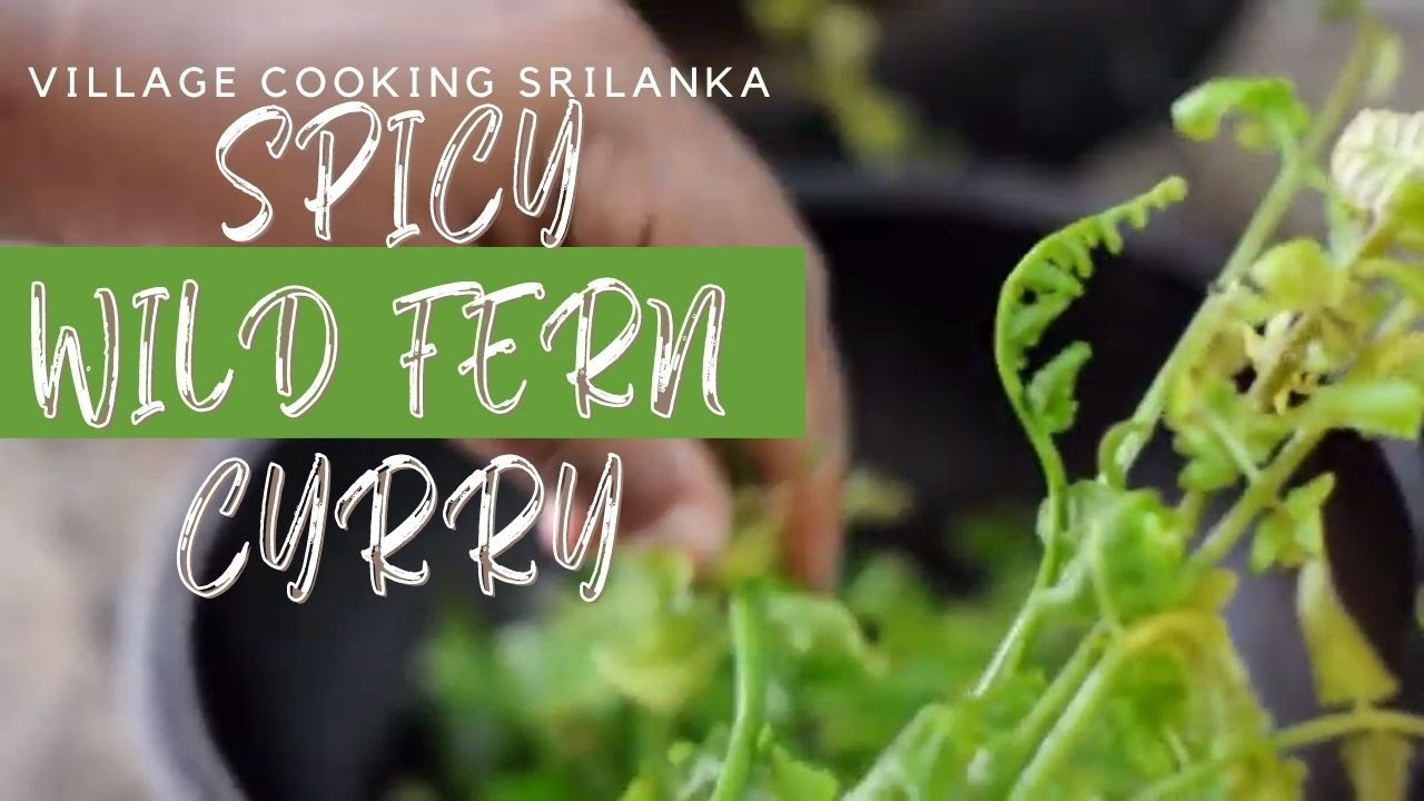 Acrostichum Esculentum fern cooking - village cooking video - YouTube