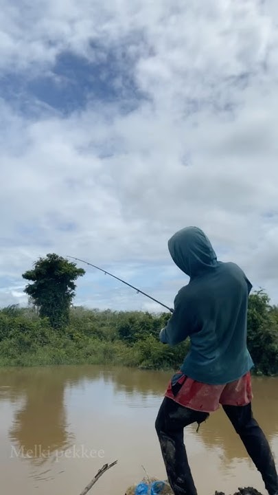 Mancing ikan baung di sungai banjir☠️😱 - YouTube