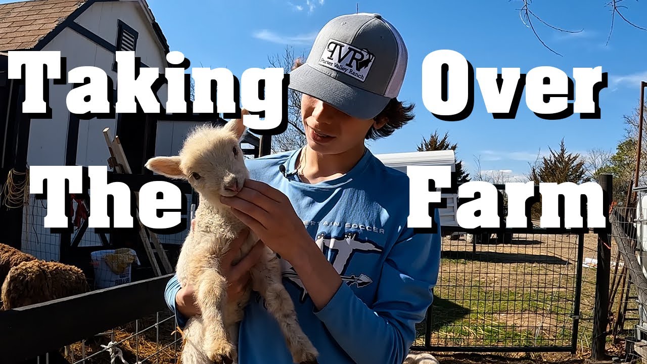 Kids Took Over Our Farm // Farm Friday // Son Day Edition - YouTube