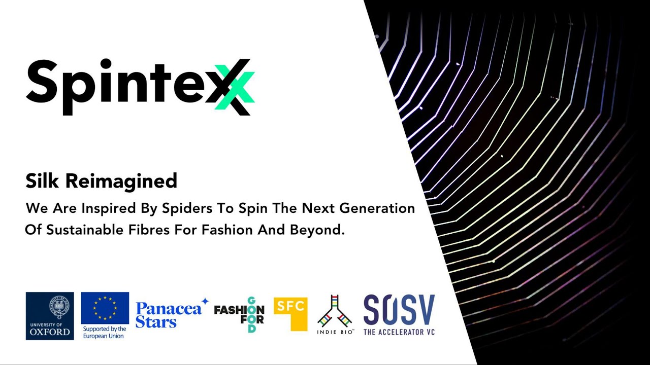 SPINTEX - Spider-inspired spinning for next generation of sustainable ...