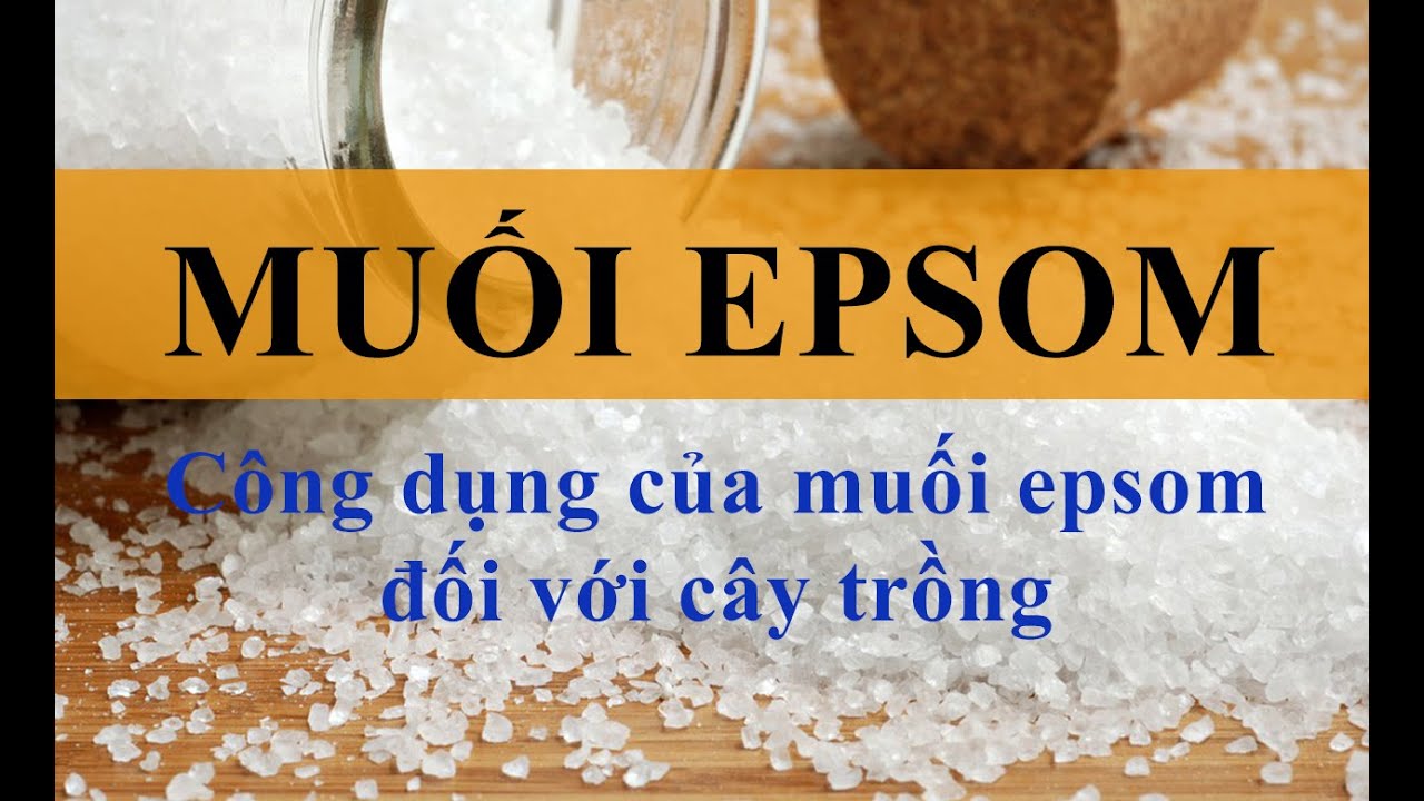 Muối Epsom - Có phải thần dược cho cây trồng xanh lá, hoa đẹp, trái to ...