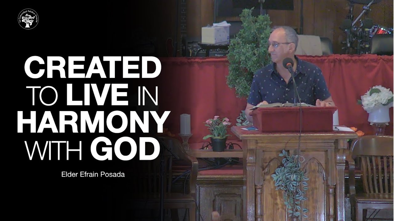 Created to Live in Harmony with God - YouTube