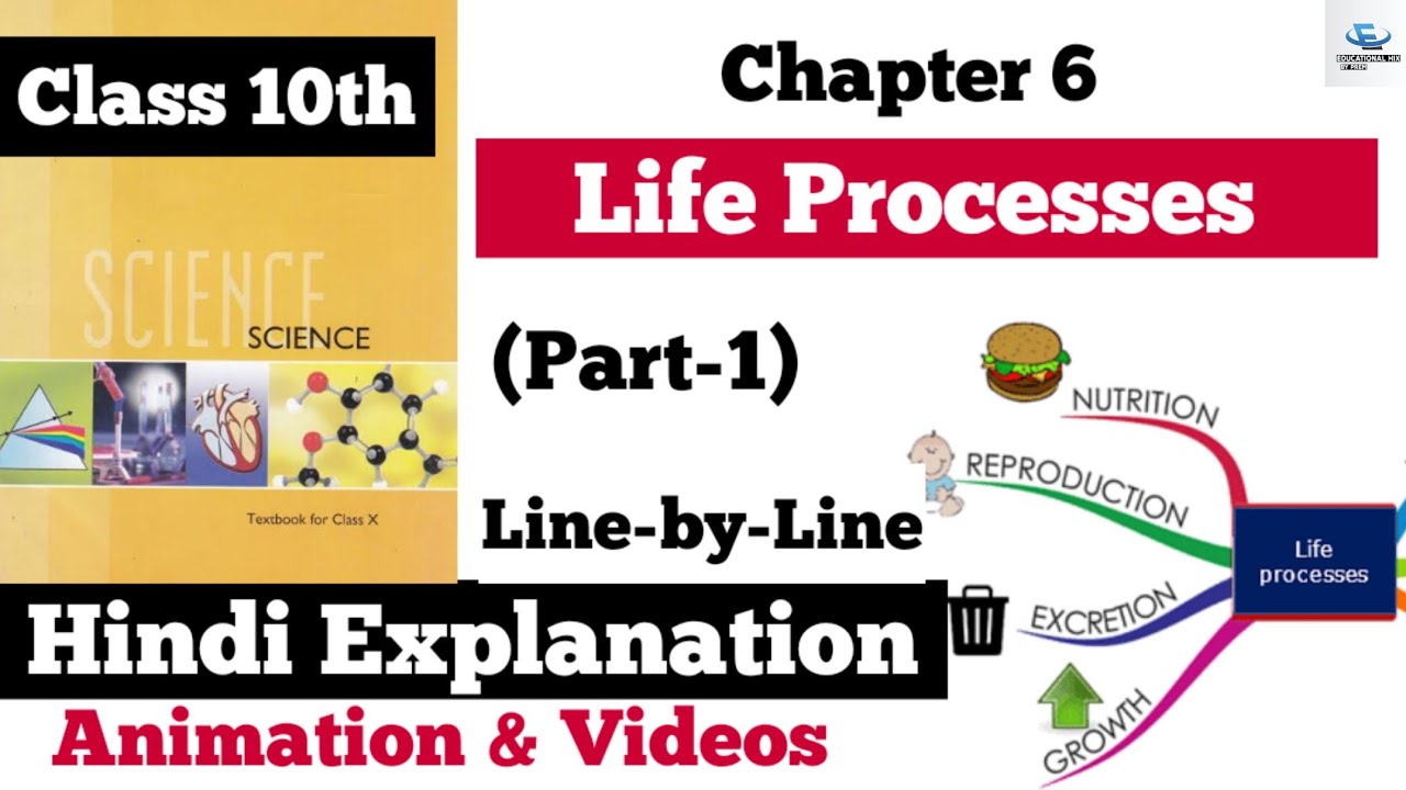 Class 10th Science Chapter 6 | Life Processes | Hindi Explanation ...