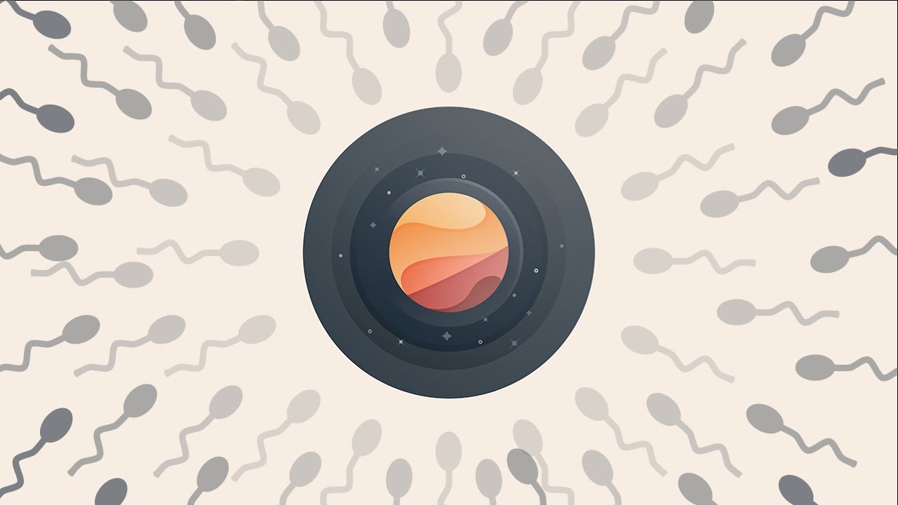 Embryo Space Colonization Theory - YouTube