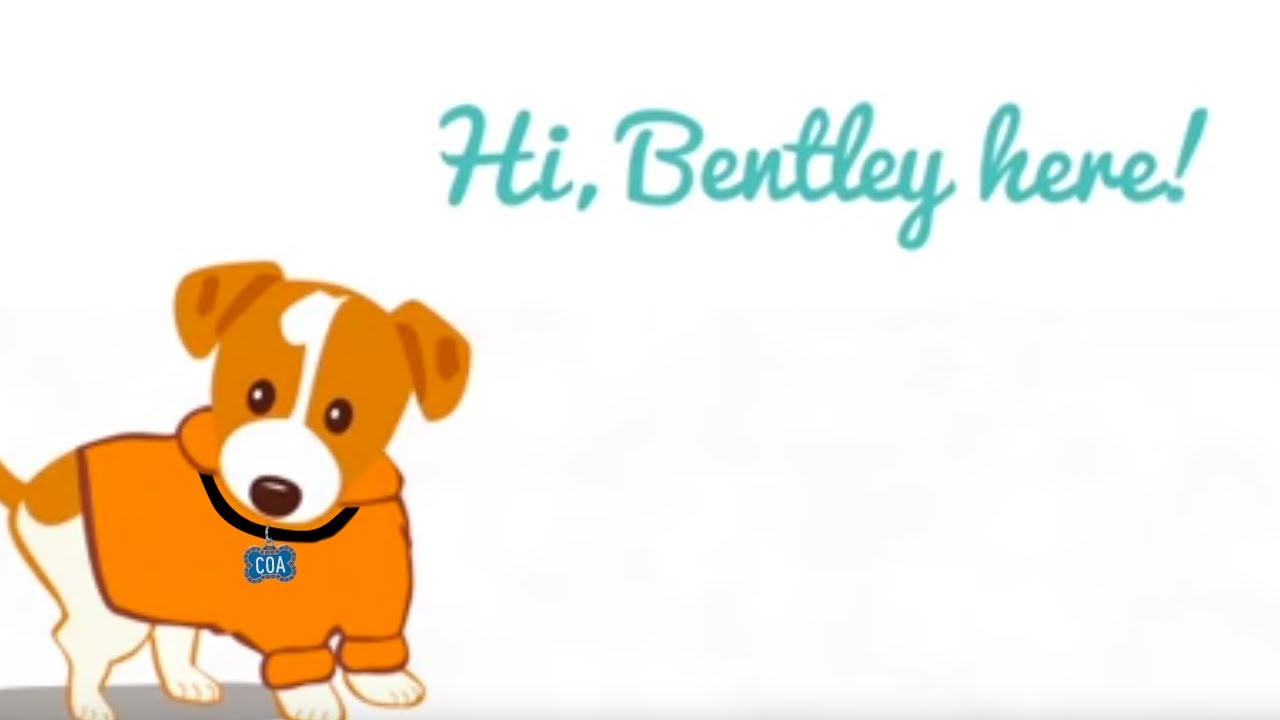 Meet Bentley the COA Mascot - YouTube