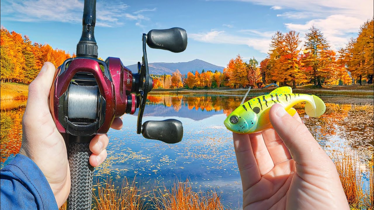 Hunting Pond MONSTERS With My FAVORITE Lures (Feeding Frenzy) - YouTube