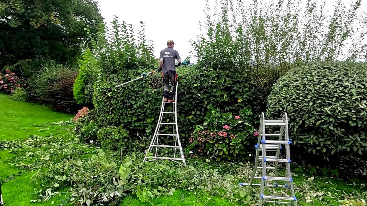 Trimming OVERGROWN HEDGES in a Peaceful Location - YouTube