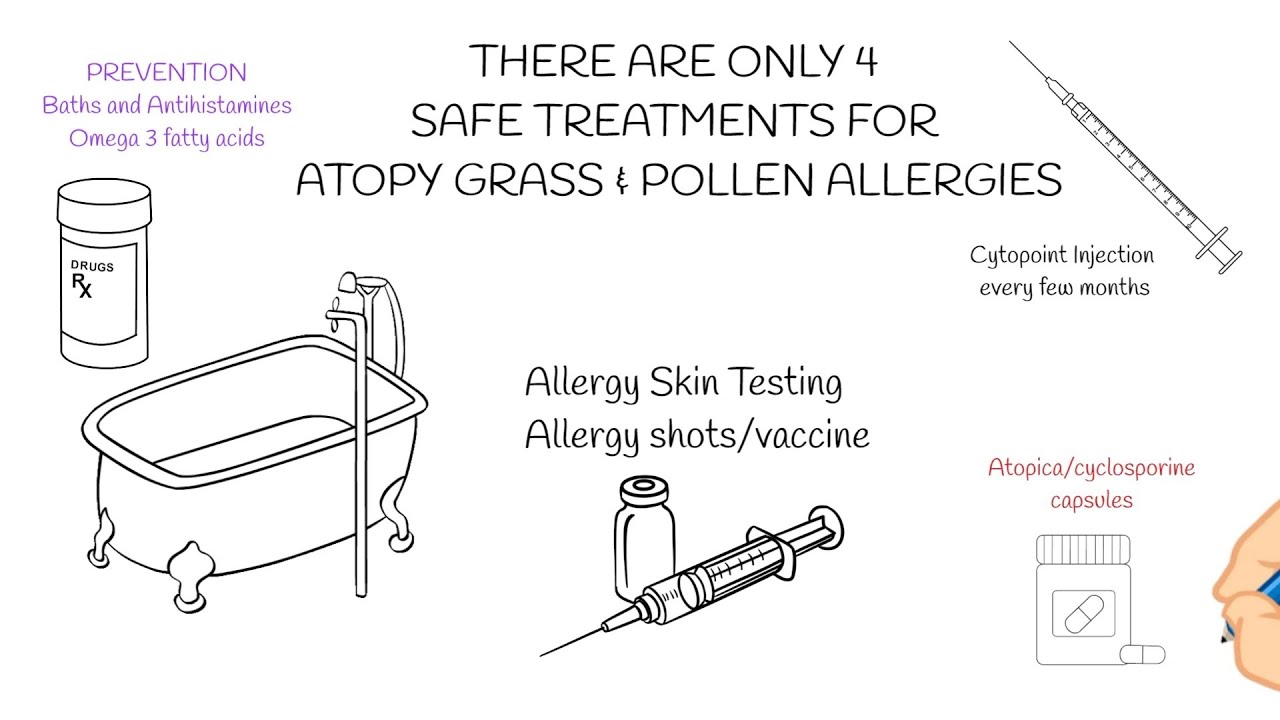 5c 01 Treating Atopy Environmental Allergy - YouTube