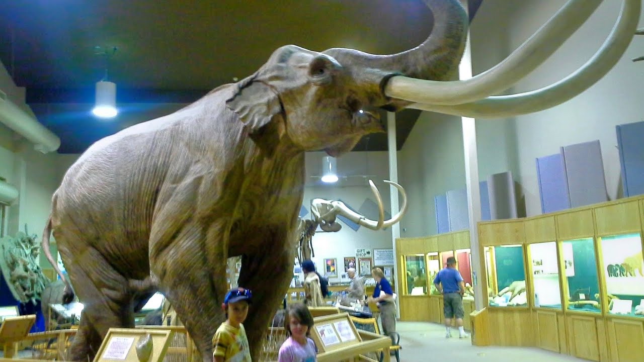 The Mammoth Site ~ South Dakota - YouTube