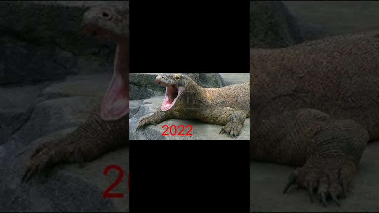 Lizard mythology collection#shorts# - YouTube