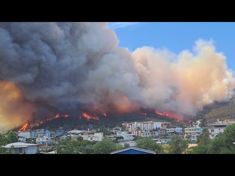 Hatay'da Büyük Orman Yangını