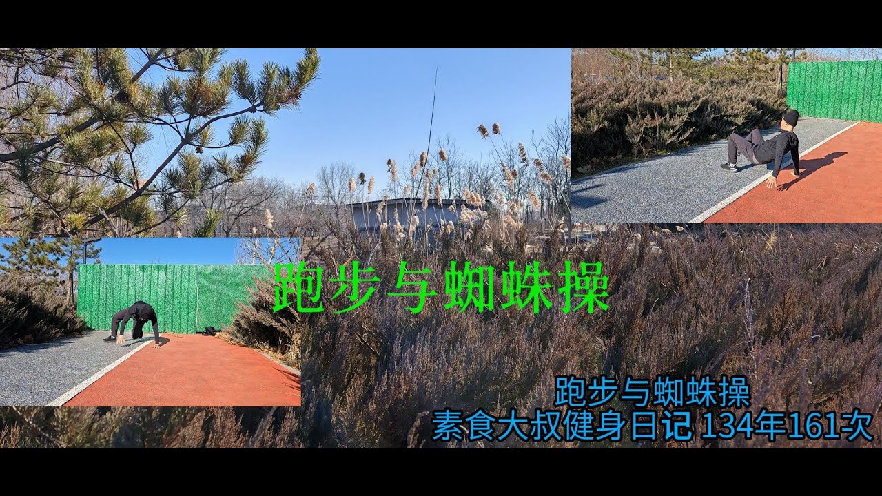 Running and Spider Exercise # Vegetarian Uncle Fitness Diary, 161st ...