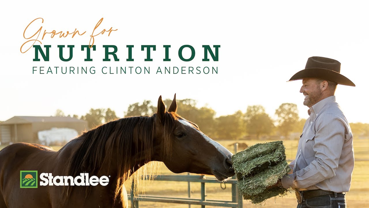 Fueling Performance with Clinton Anderson - YouTube
