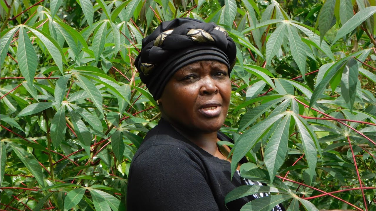A visit to kathiani in Machakos County Kenya @judithdownthevillages ...