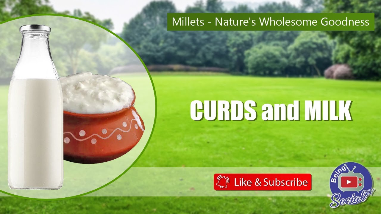 Dr. Khadar Vali on "Curds and Milk" | Millet Man of India in Atlanta ...