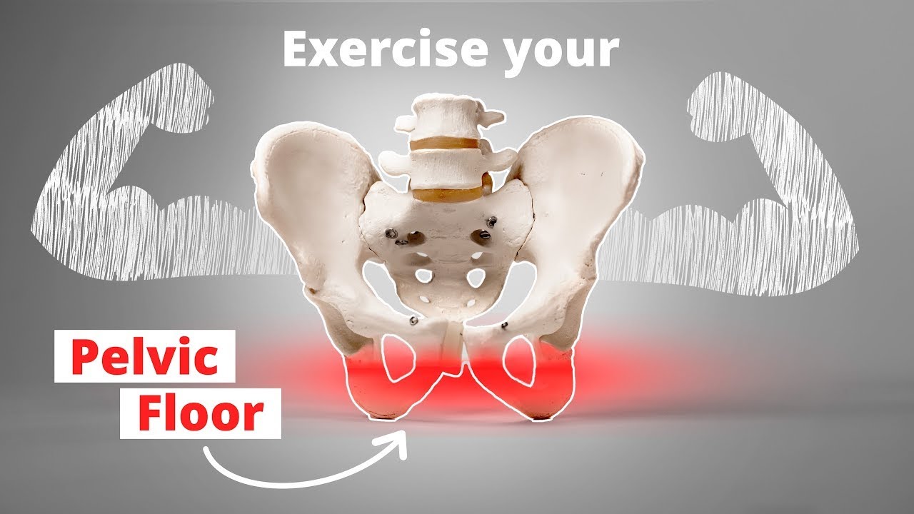 Exercise Your Pelvic Floor – Build Strength & Coordination - YouTube
