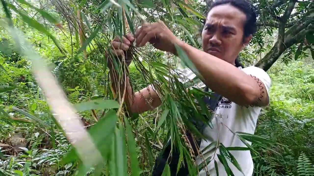 Bulaklak ng Bagakay Pampaswerte - YouTube