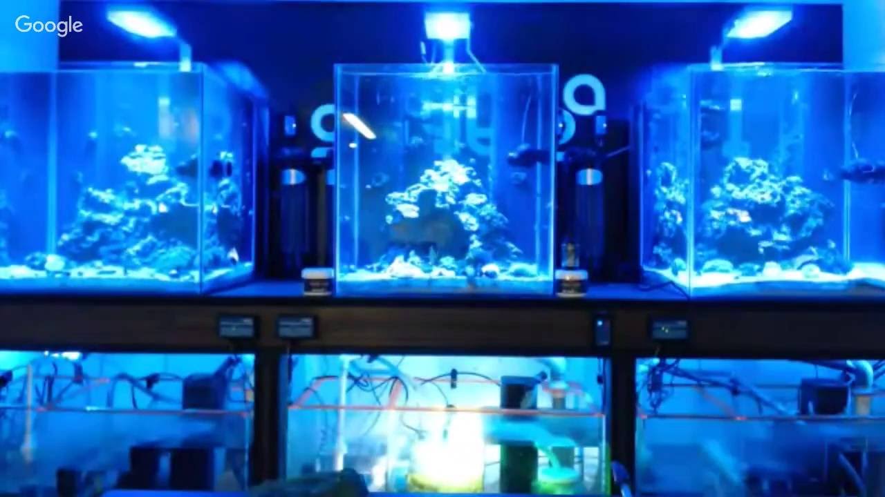 THE LAB IS LIVE - YouTube