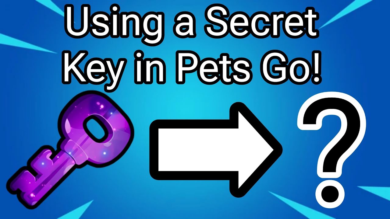 Using a Secret Key in Pets Go, - YouTube